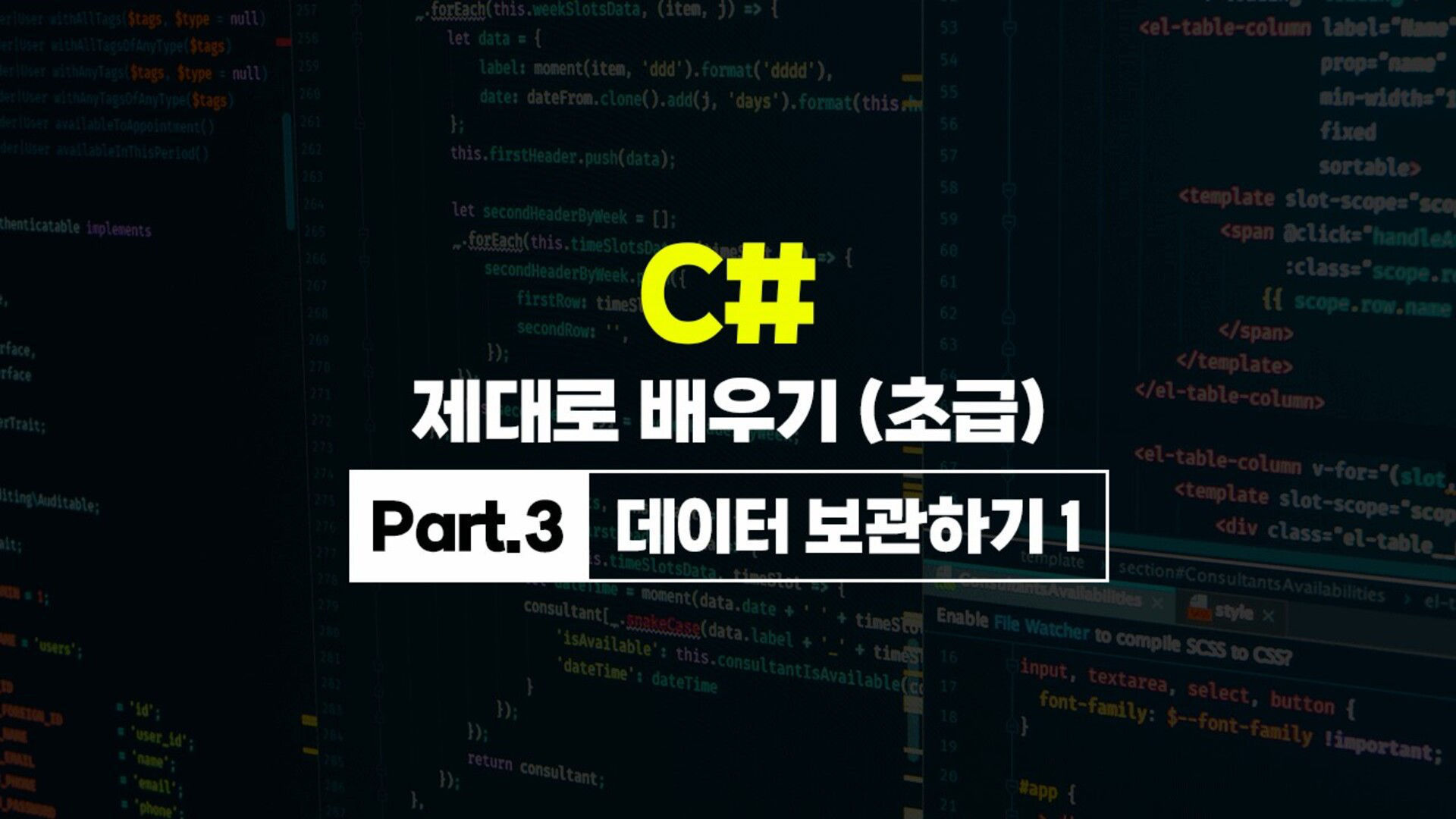 C 제대로 배우기 초급 Part3 데이터 보관하기 1 에어클래스