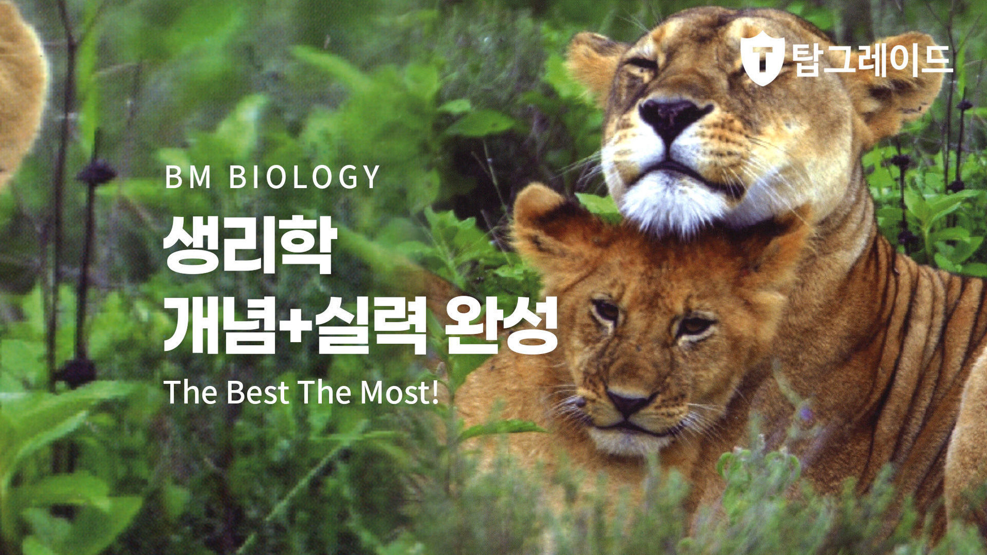 생리학 개념실력 완성 에어클래스