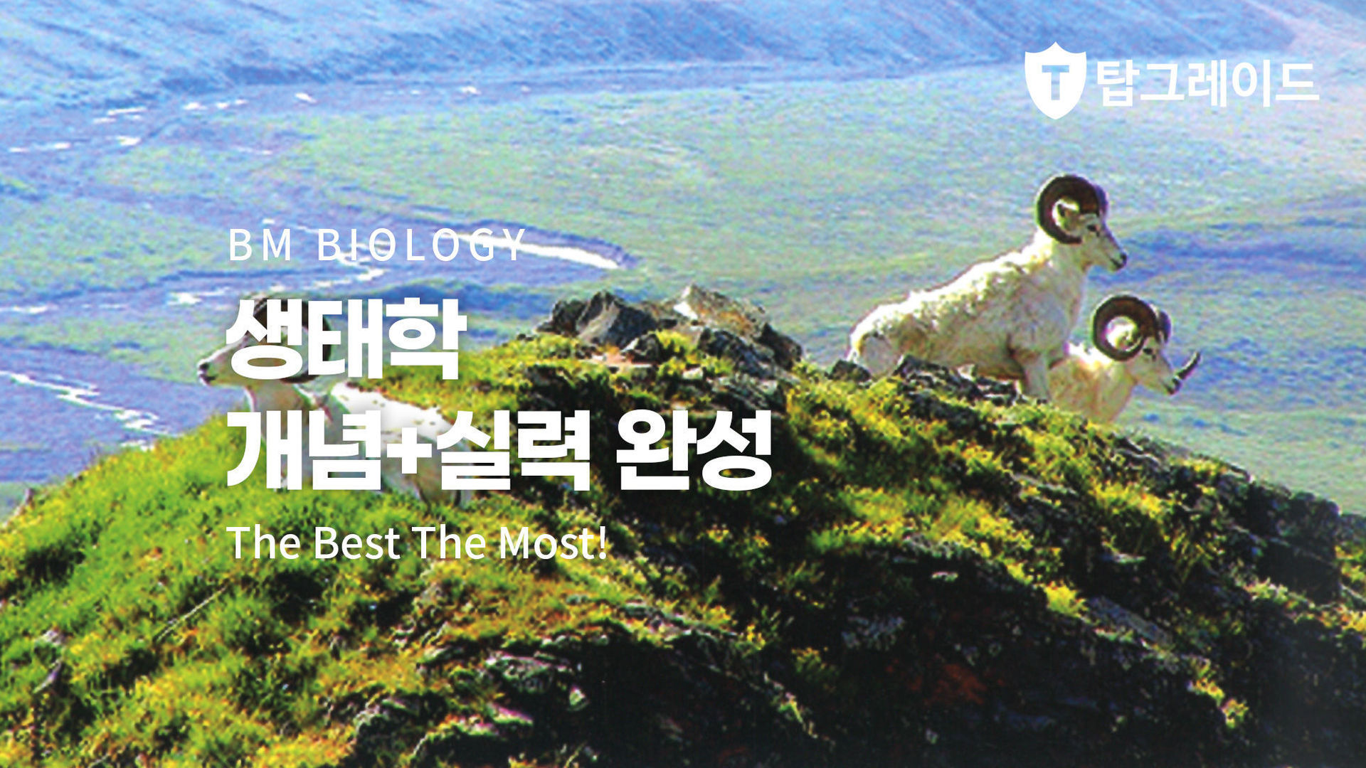 생태학 개념실력 완성 에어클래스