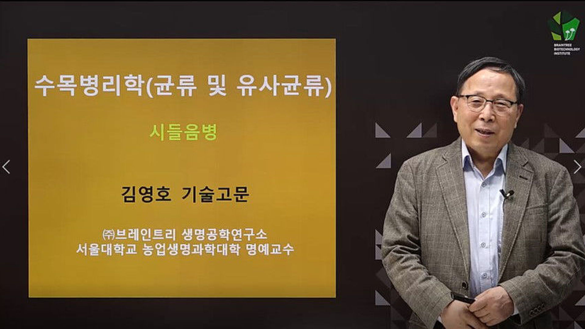 수목병리학김영호교수님 6강 시들음병 에어클래스
