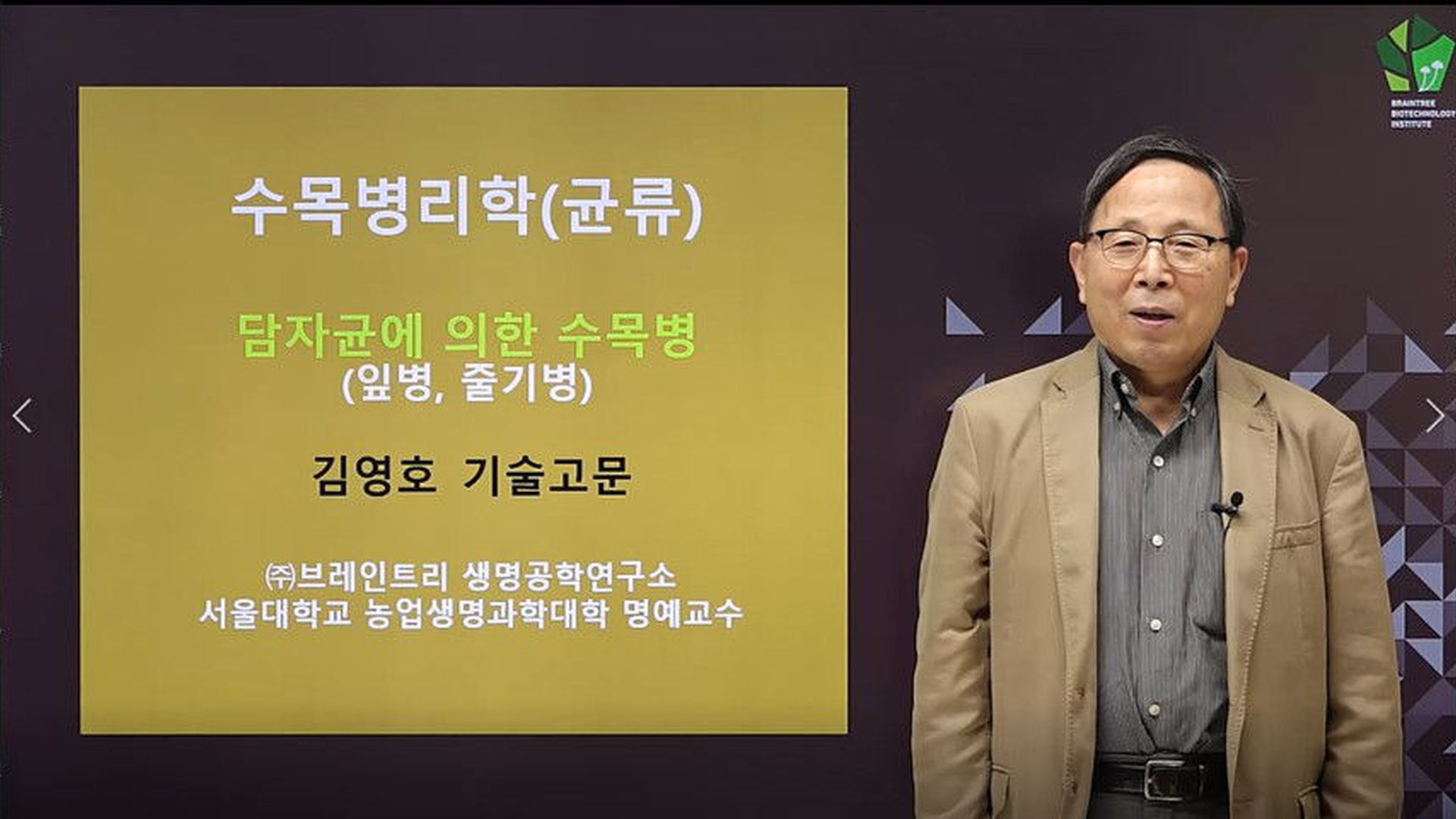 수목병리학김영호교수님 7강 담자균류에 의한 수목병 에어클래스