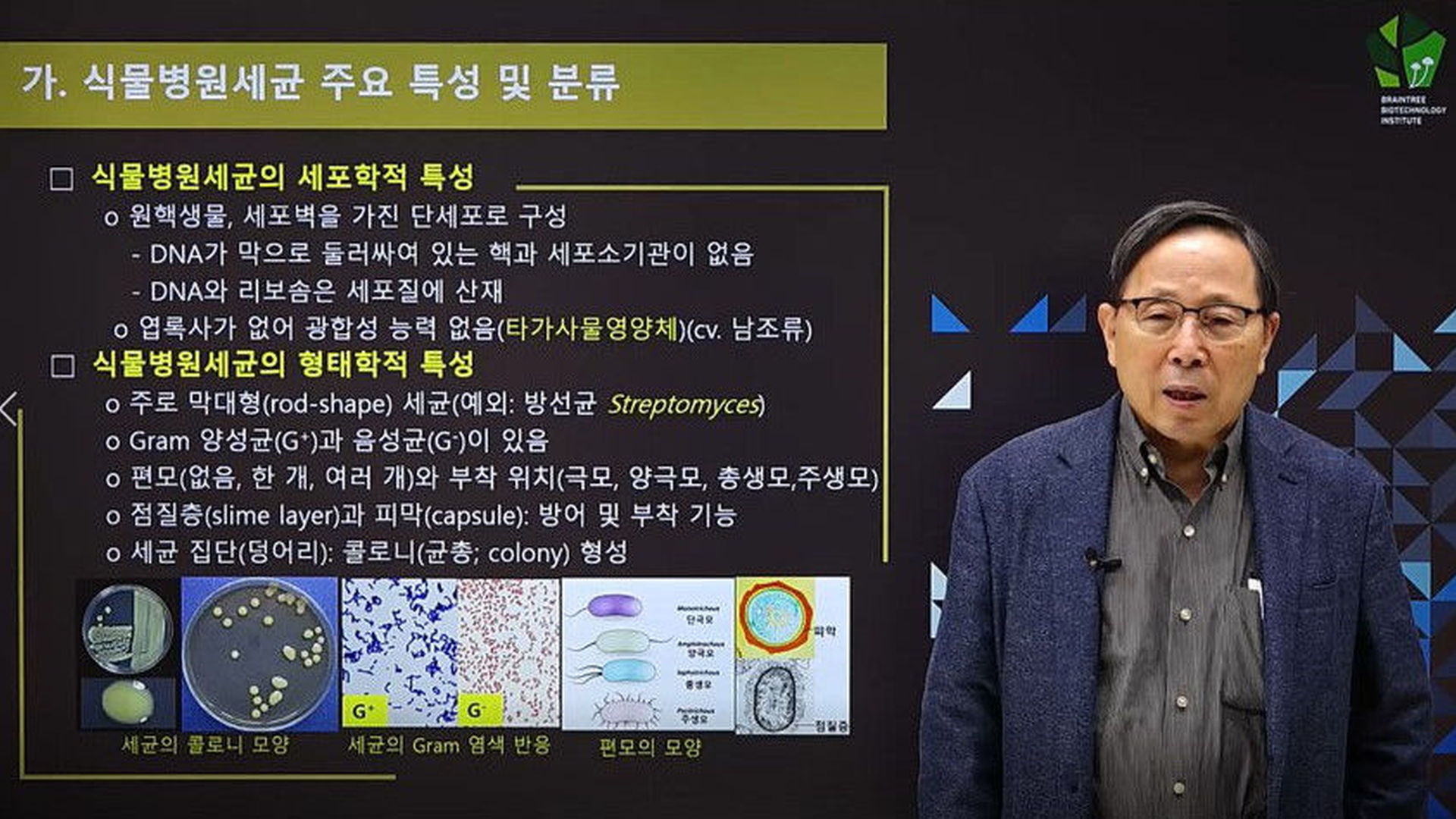 수목병리학김영호교수님 10강 세균에의한 식물병해 에어클래스