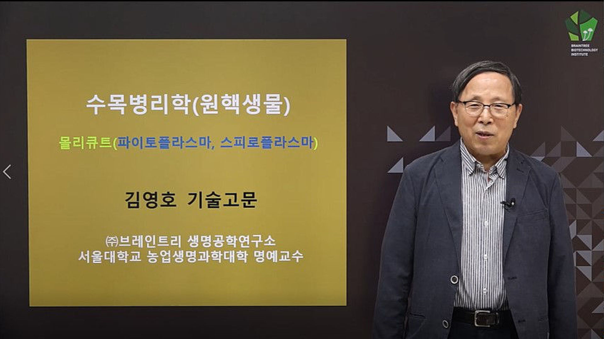수목병리학김영호교수님 11강 몰리큐트에 의한 수목병해 에어클래스