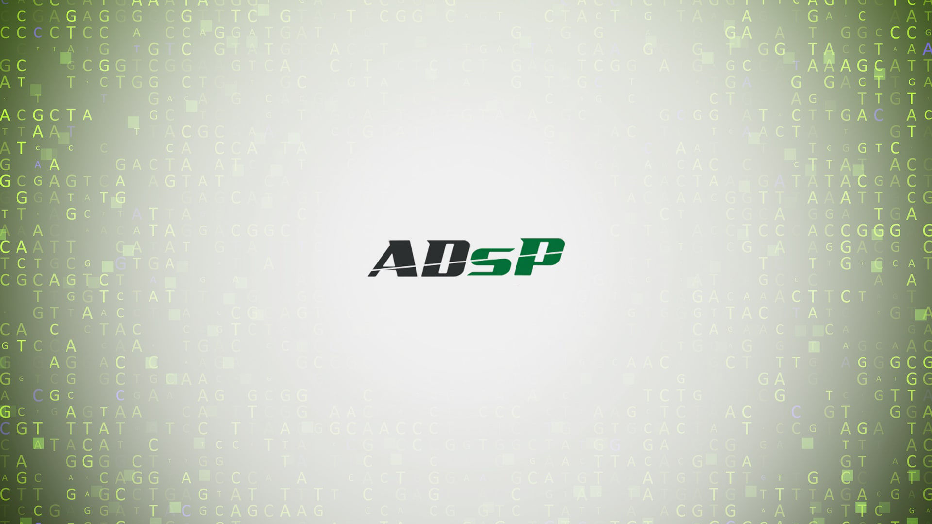 데이터분석 준전문가(ADsP) 자격증 따기 - 에어클래스